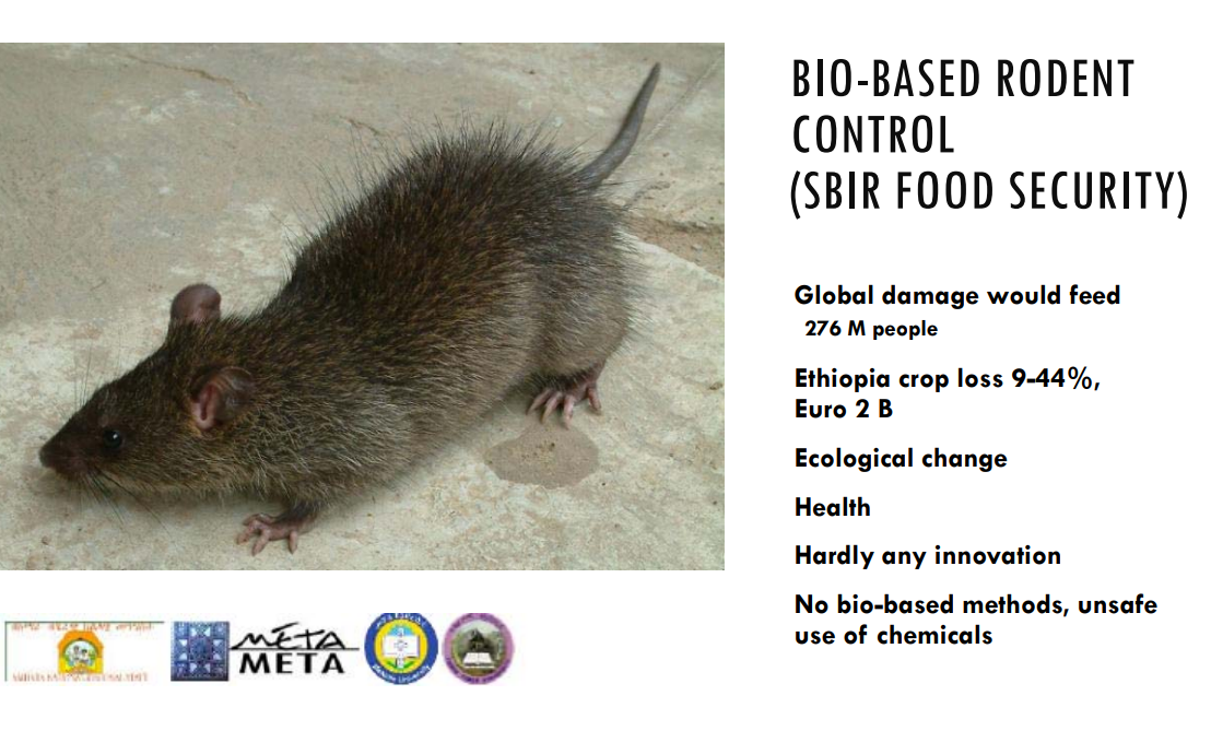 Bio-based Rodent Control - Rodent Green