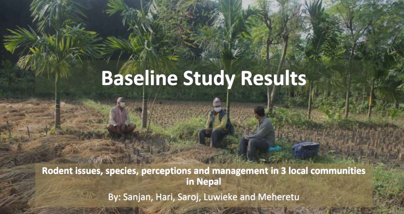 Baseline Study Results - Rodent Green