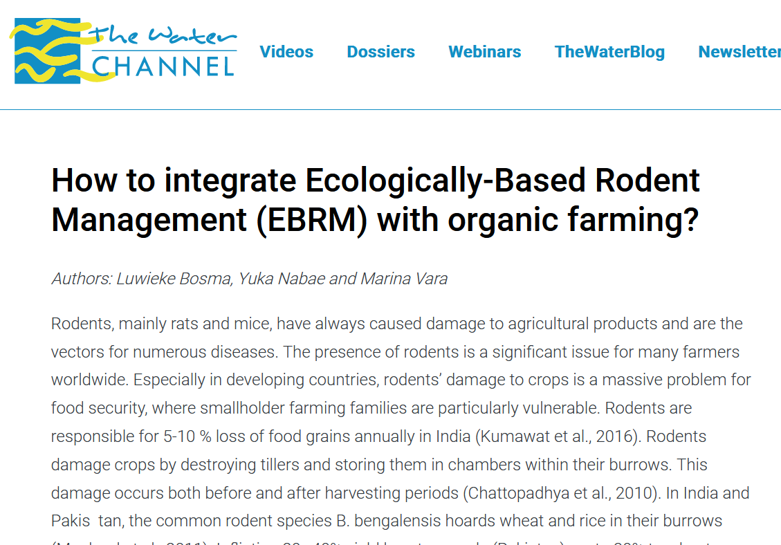 How to integrate Ecologically-Based Rodent Management (EBRM) with ...