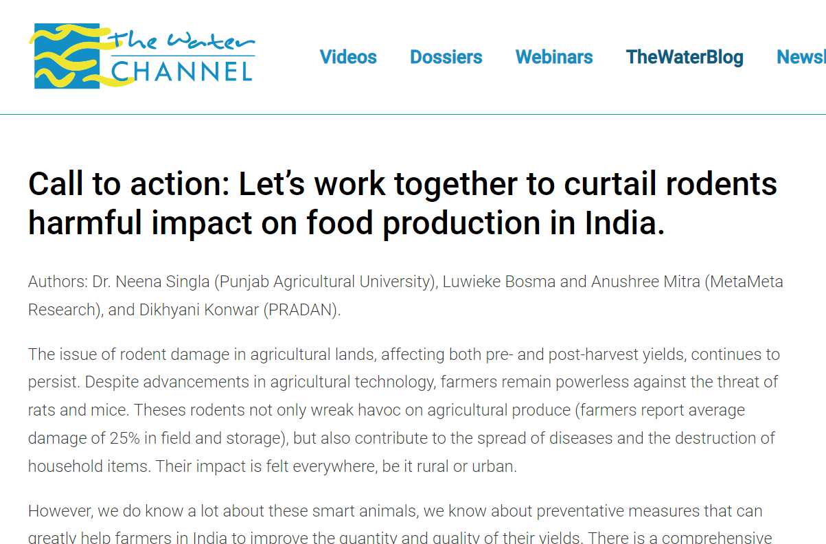 Call to action: Let's work together to curtail rodents harmful impact ...